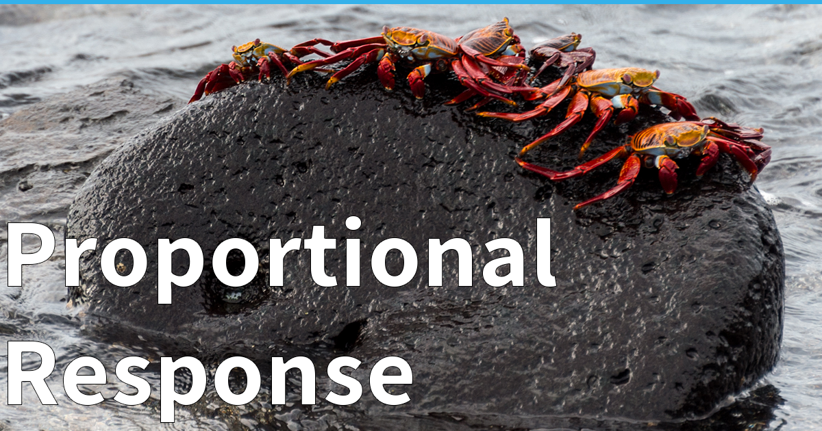 Proportional Response